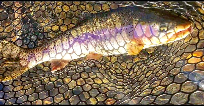 Winter creeps in and connections change. – Tamarack's Guide Service