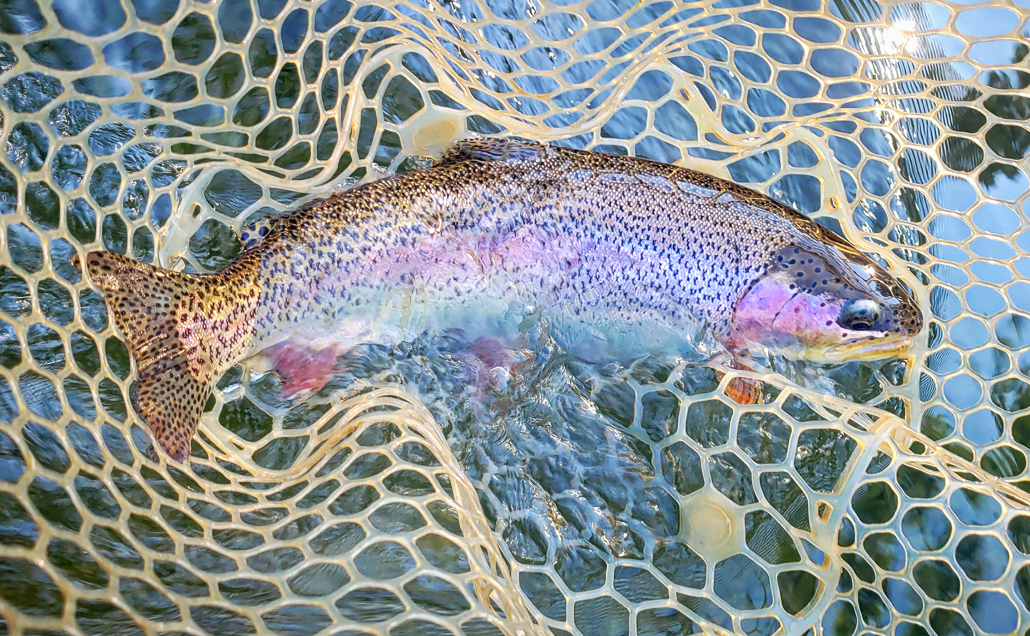 The summer closes – Tamarack's Guide Service