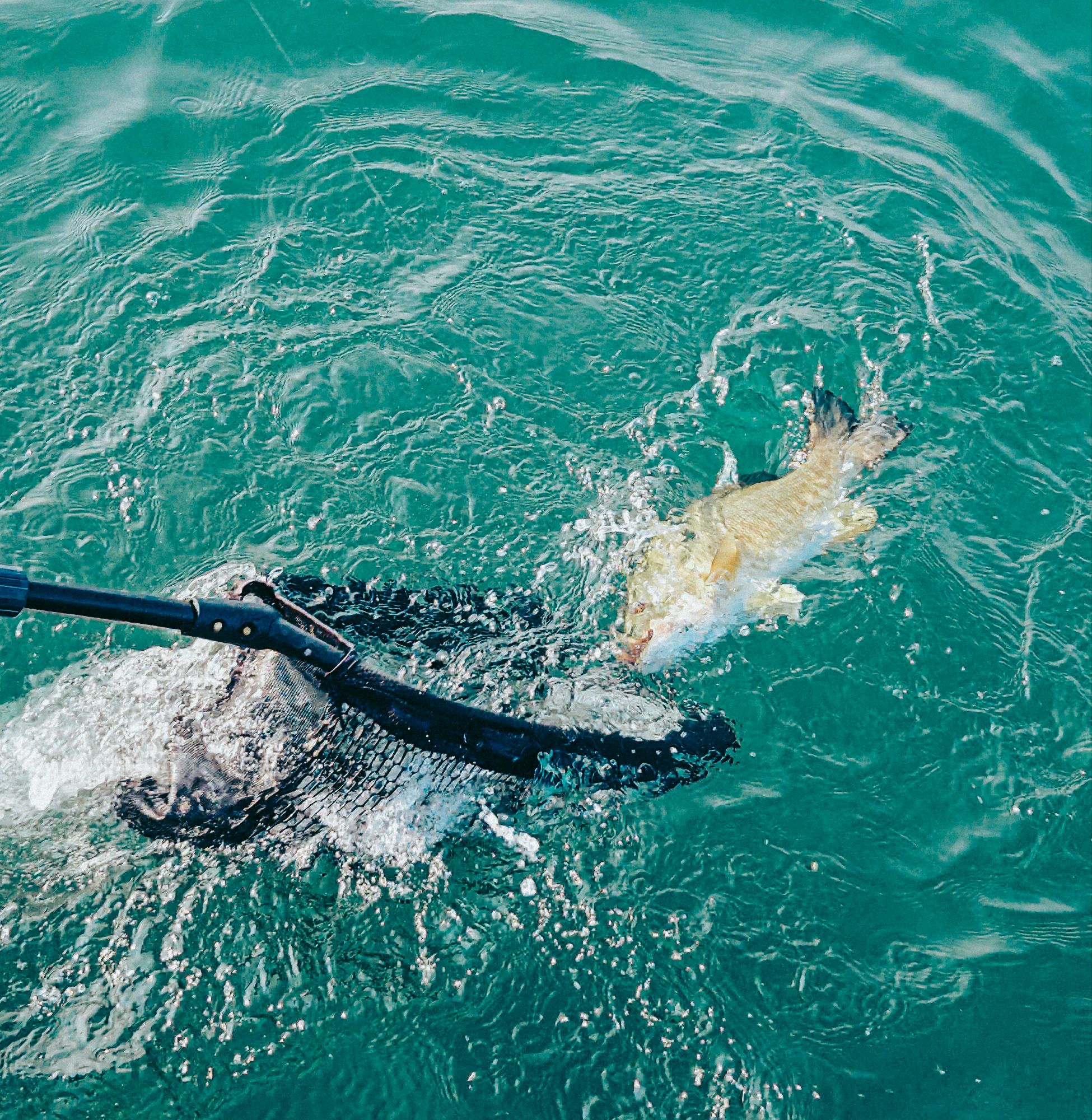 A Fish Story. – Tamarack's Guide Service